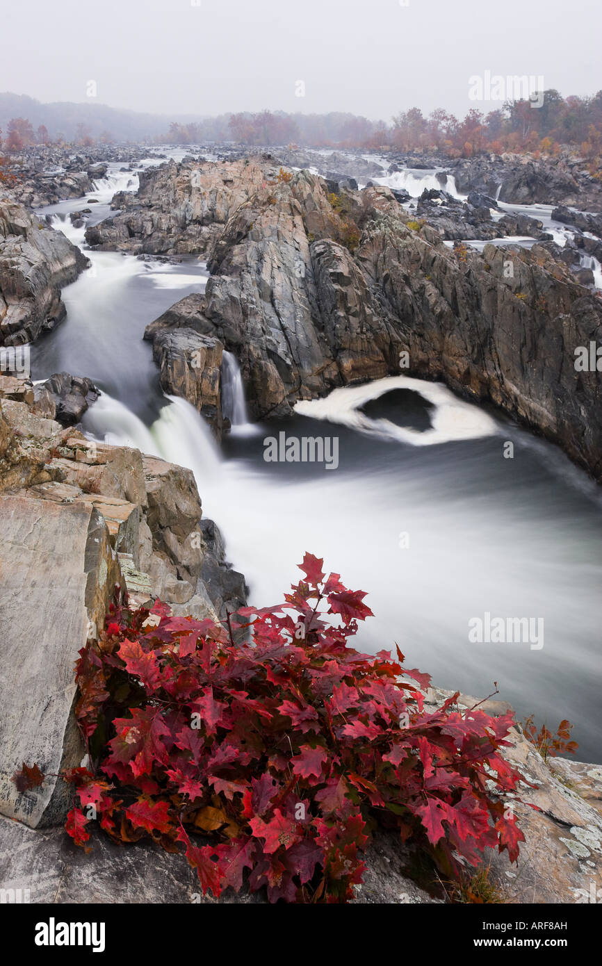 Potomac river in the autumn virginia hi-res stock photography and ...