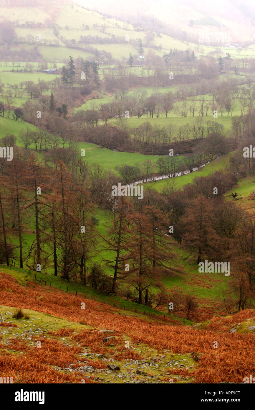 Europe Wales Dovey River valley Stock Photo - Alamy
