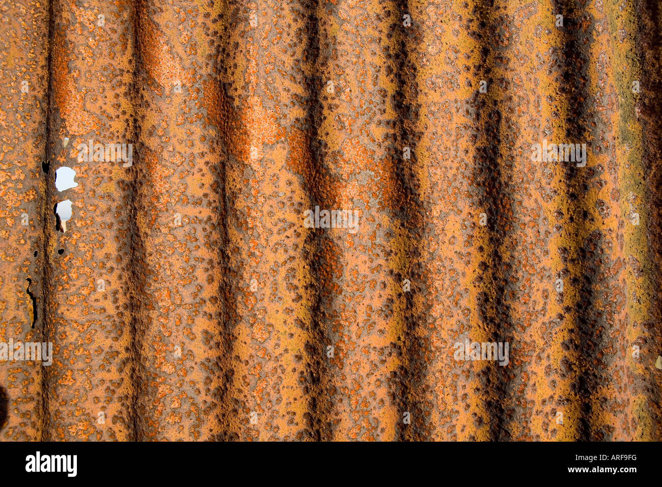 Rusty corrugated metal roof panel hi-res stock photography and images - Alamy