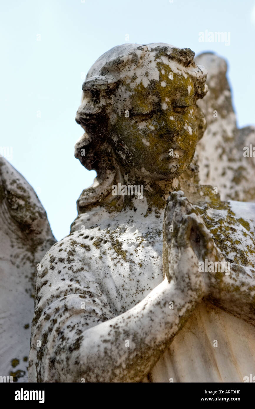 Angel moss hands sky Stock Photo - Alamy