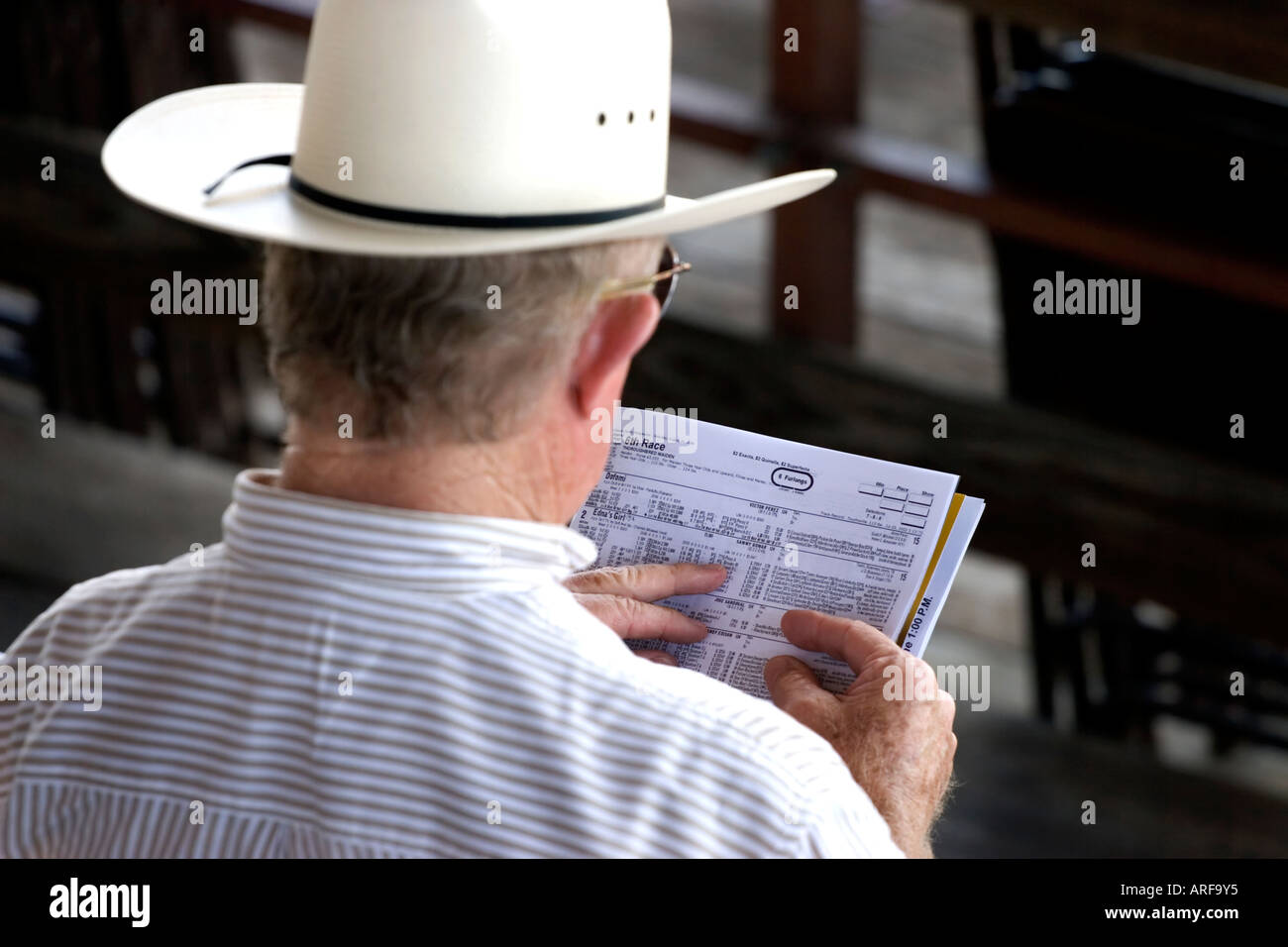 Reading the odds hi-res stock photography and images - Alamy