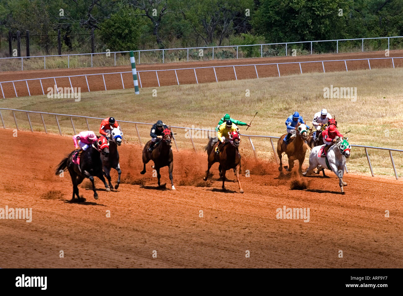 Horse race dirt flying Stock Photo - Alamy