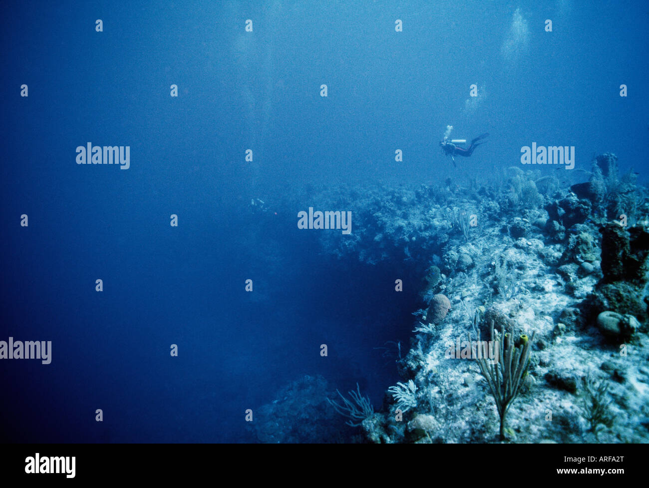 Underwater at Amphitheater divesite Provo Turks Caicos Islands Stock ...