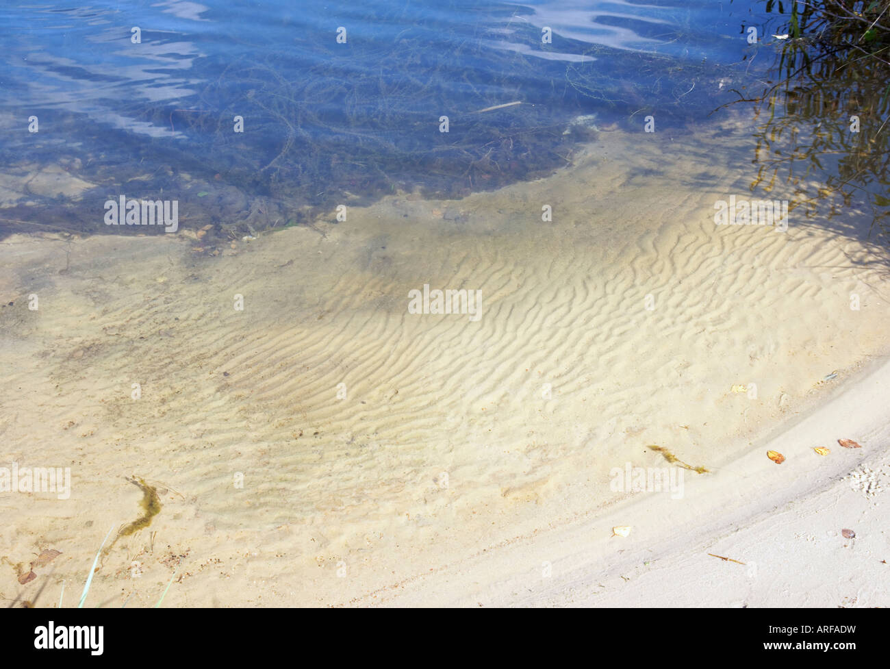 Sand bottom of autumn lake Stock Photo - Alamy