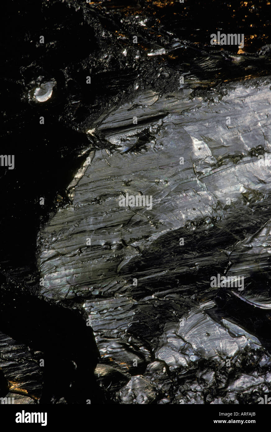 Colonial coal museum hi-res stock photography and images - Alamy