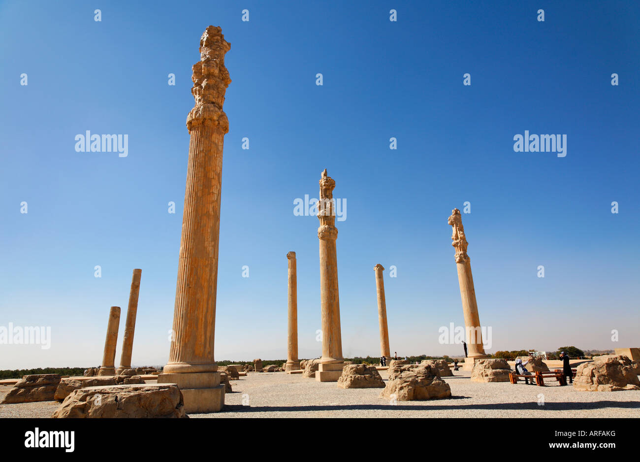 Standing columns at Persepolis Iran Stock Photo - Alamy