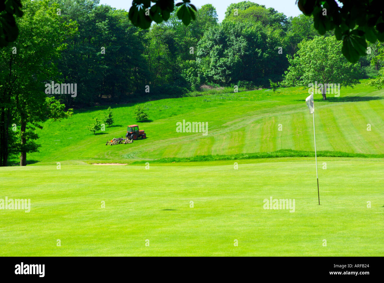 tractor cutting the grass on golf course Stock Photo - Alamy