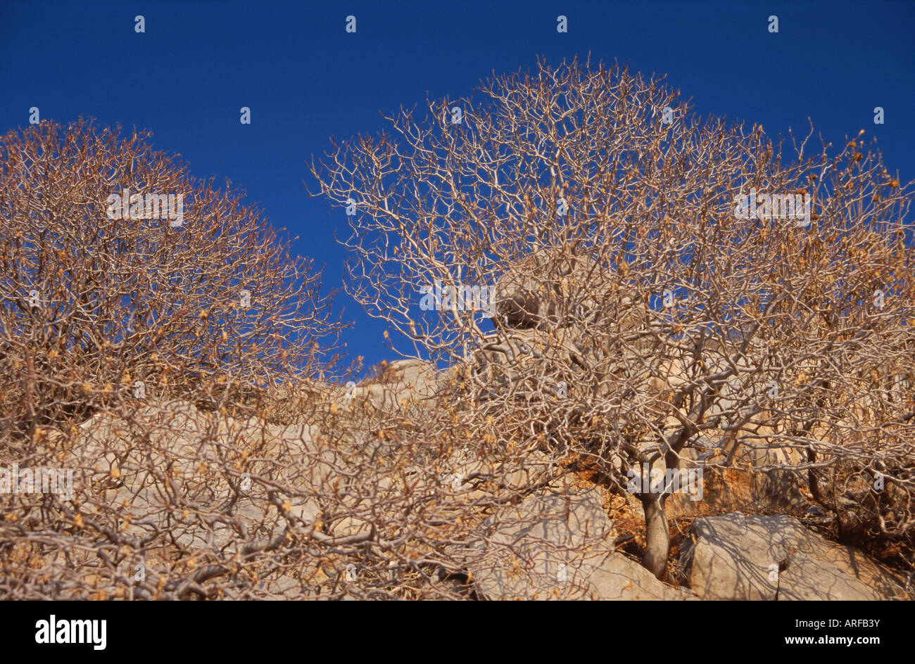 Natural landscape of Hydra island, Greece Stock Photo - Alamy