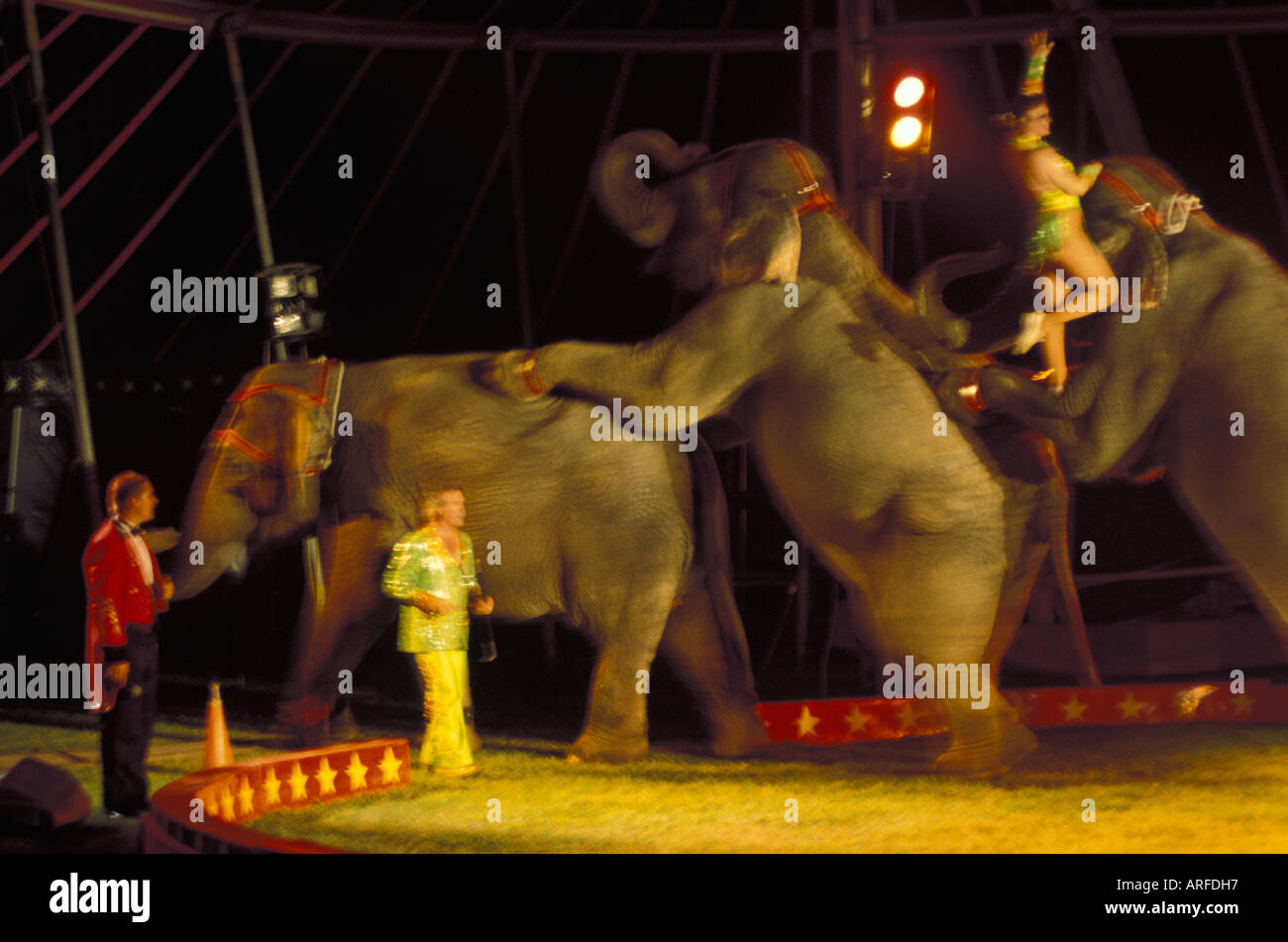 Kelly Miller Circus USA America American three elephants performers ...