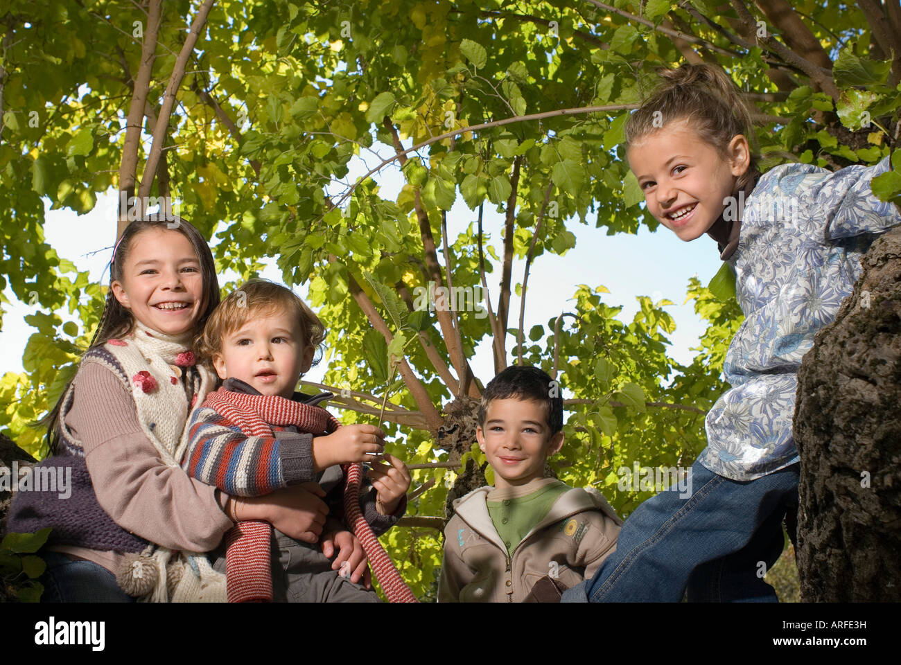 Group of kids in a tree Stock Photo - Alamy
