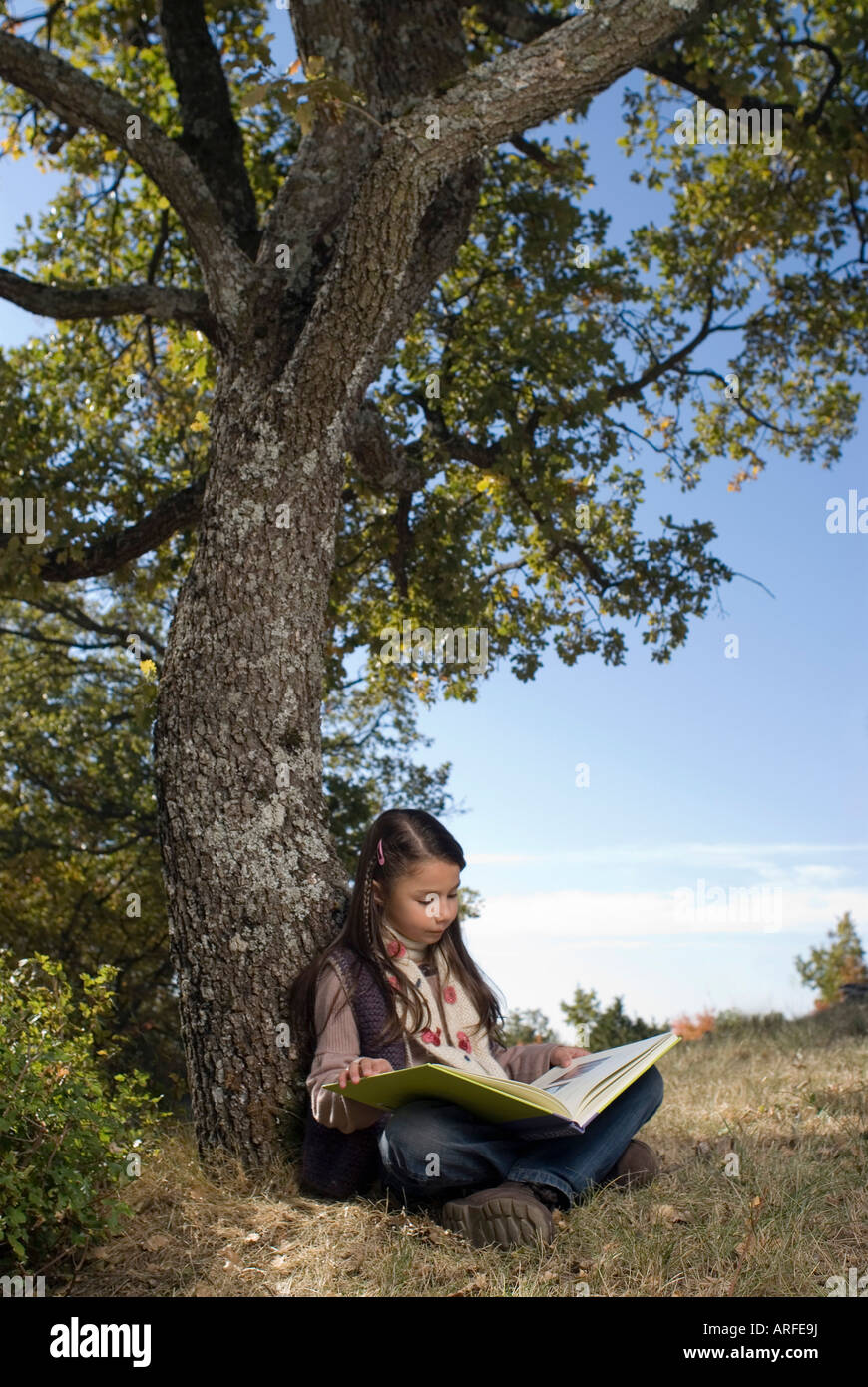 Young girl leaning against a tree Stock Photo - Alamy