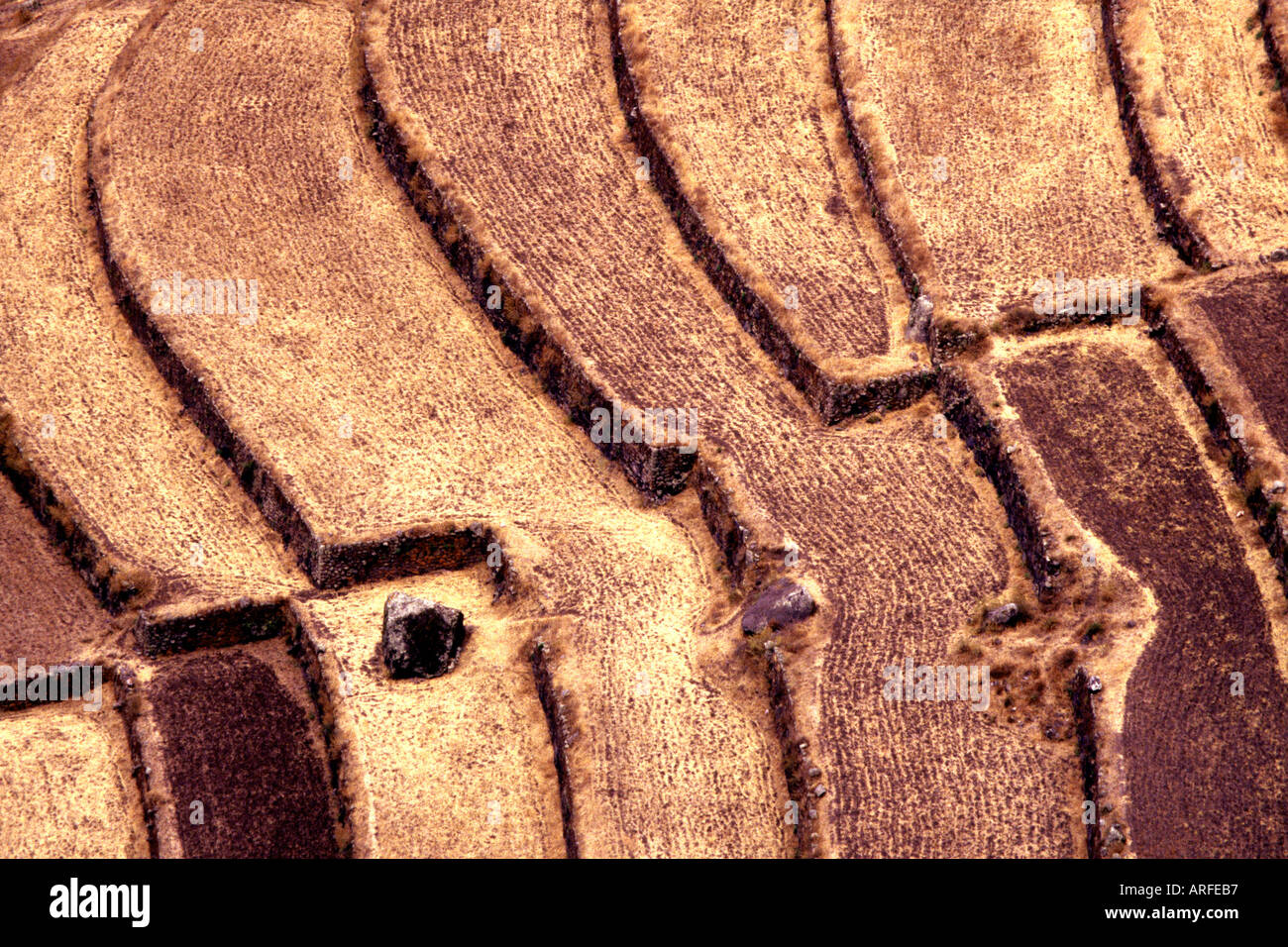 Inca terraced fields at Pisac, still in use today, Peru Stock Photo - Alamy