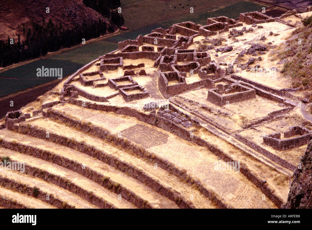 Inca ruins and ancient terraced fields at Pisac Peru Stock Photo - Alamy