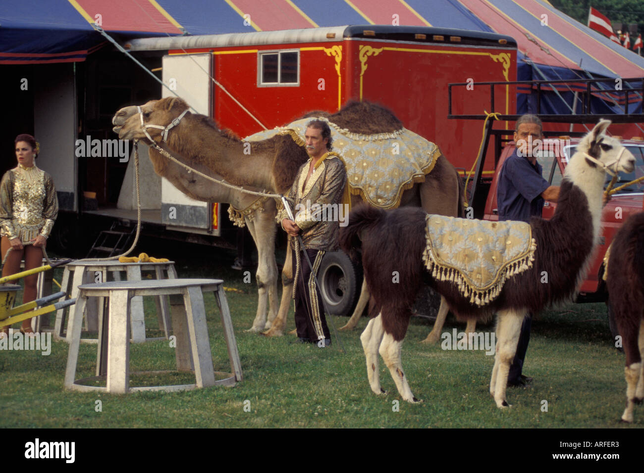 Kelly Miller Circus USA America American pedrformer camel llama lama ...
