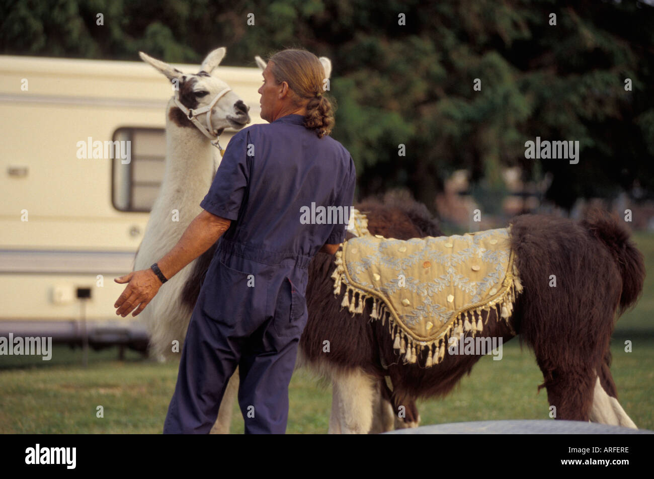 Kelly Miller Circus USA America American handler with lama llama Stock ...