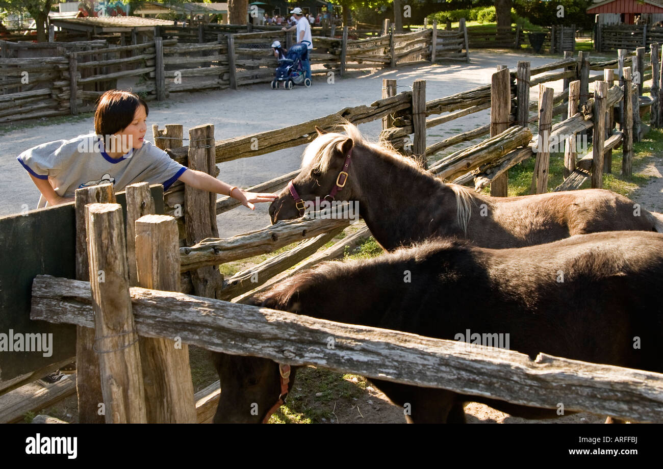 Child petting a pony at the zoo Stock Photo - Alamy