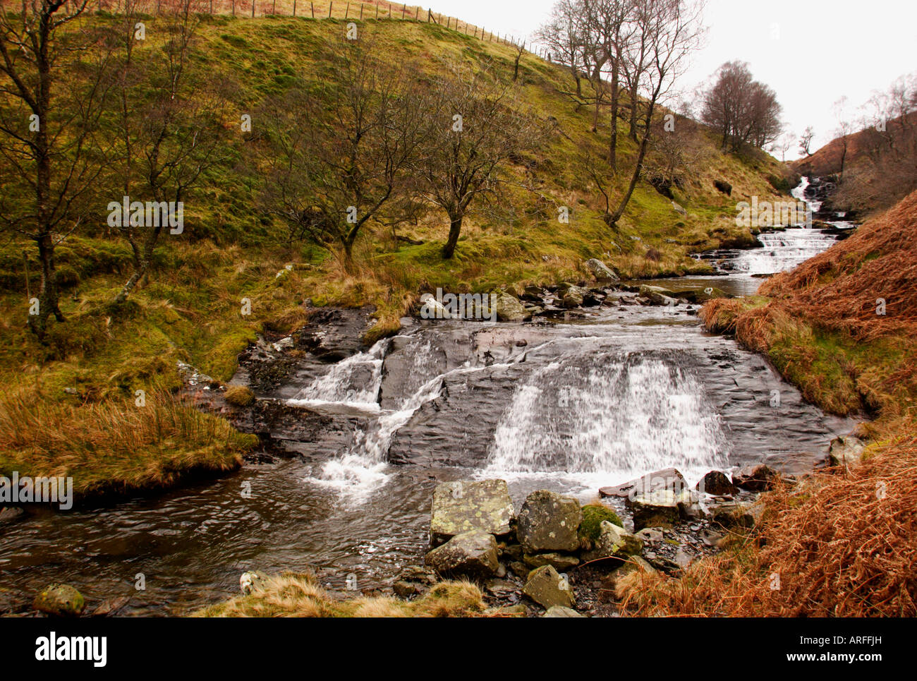 Wales stream running down Eunant Valley Stock Photo - Alamy