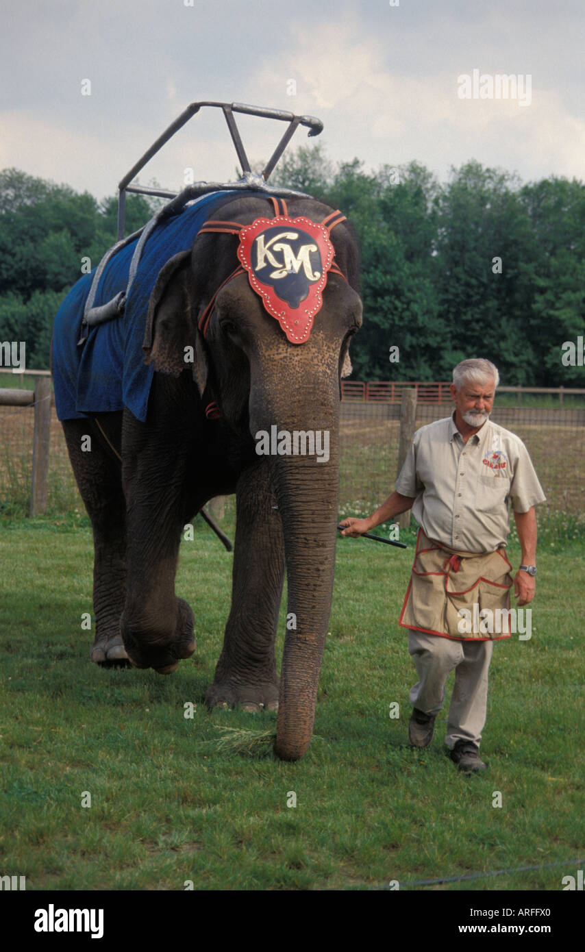 Kelly Miller Circus USA America American elephant trainer handler Stock ...