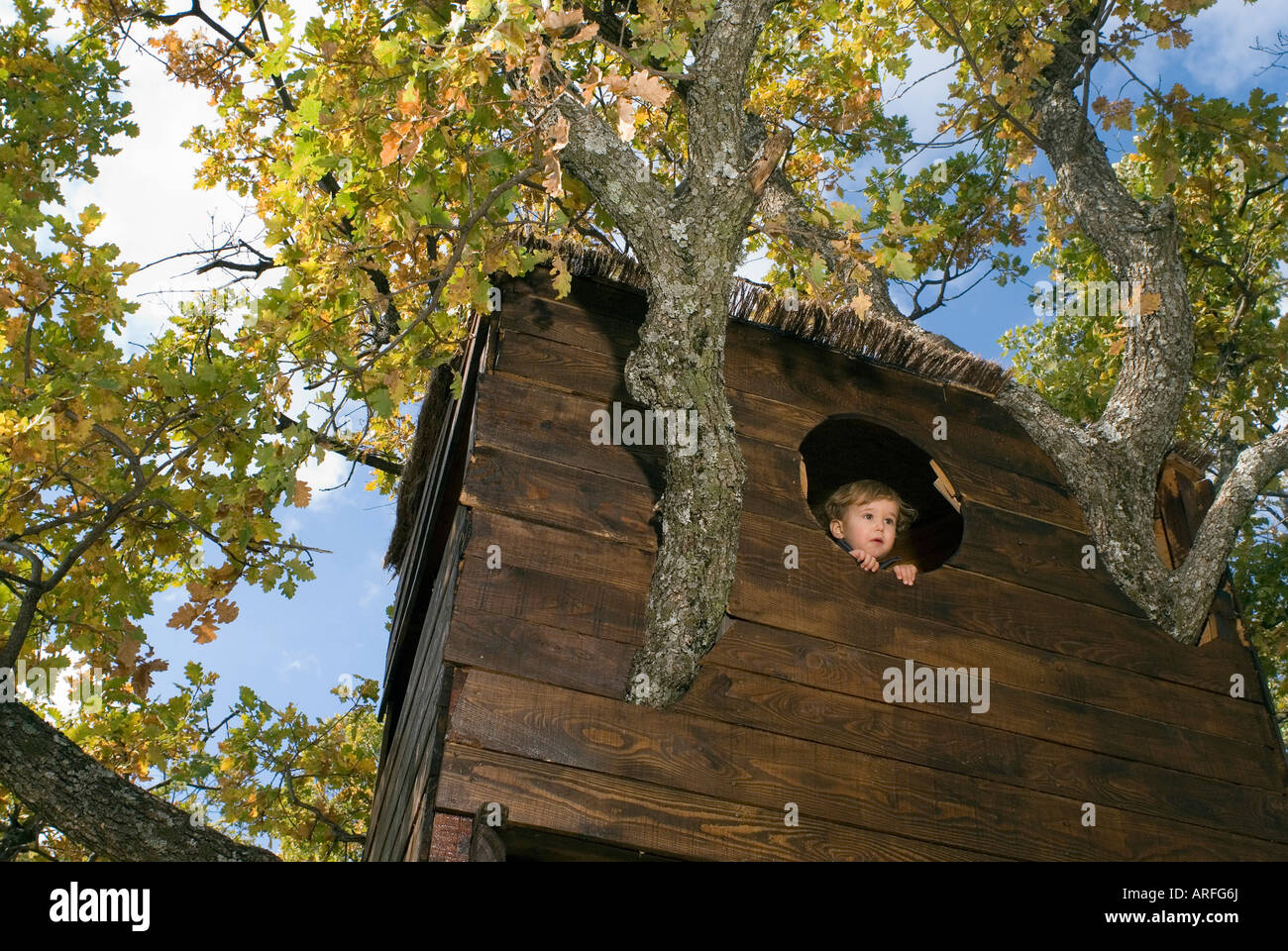 Child climbing into tree house hi-res stock photography and images - Alamy