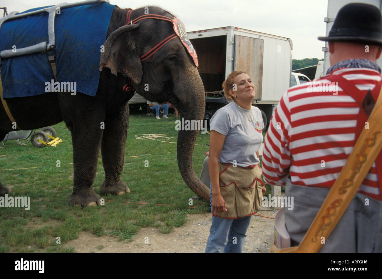Kelly Miller Circus USA America American elephant trainer handler Stock ...