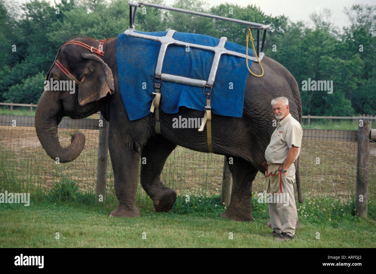 Kelly Miller Circus USA America American elephant trainer handler Stock ...