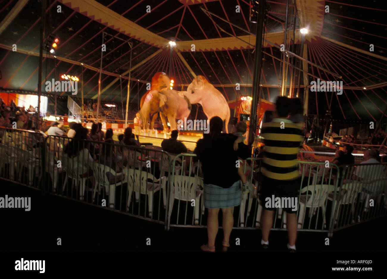 Kelly Miller Circus USA America American elephants Stock Photo - Alamy