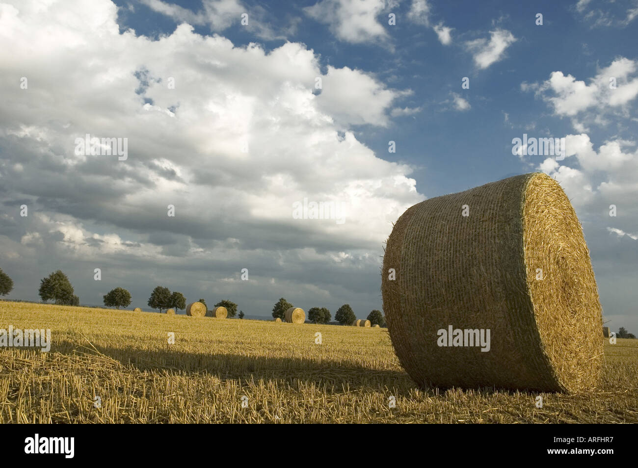 Cultural landscape with straw balls hi-res stock photography and images ...