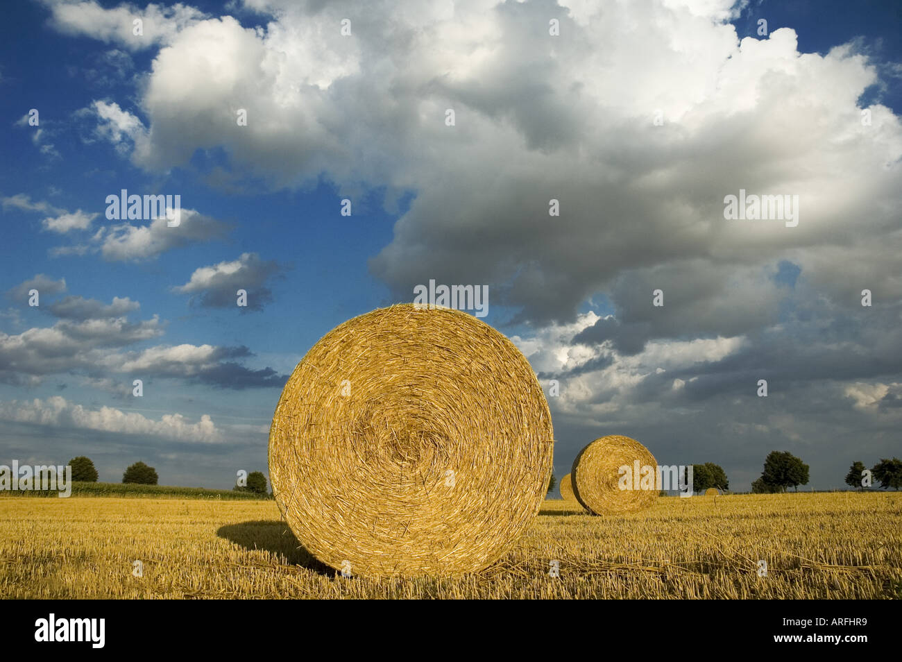 Cultural landscape with straw balls hi-res stock photography and images ...