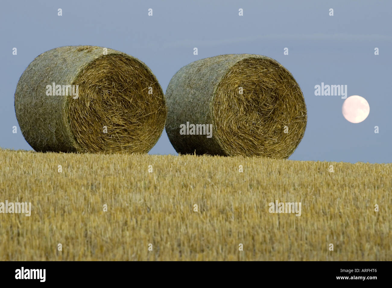 Cultural landscape with straw balls hi-res stock photography and images ...