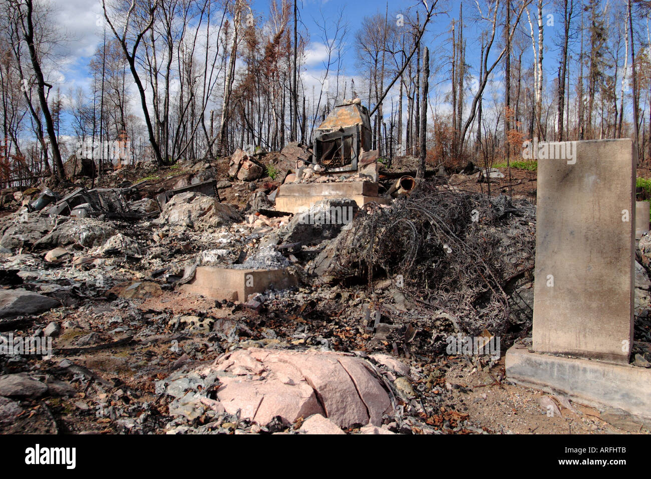 Forest fire damage Stock Photo - Alamy