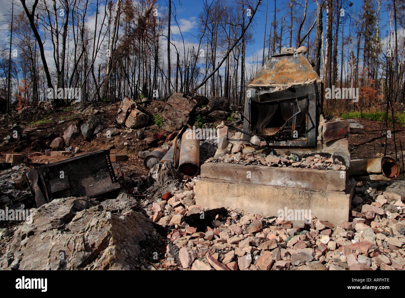 Forest fire damage Stock Photo - Alamy