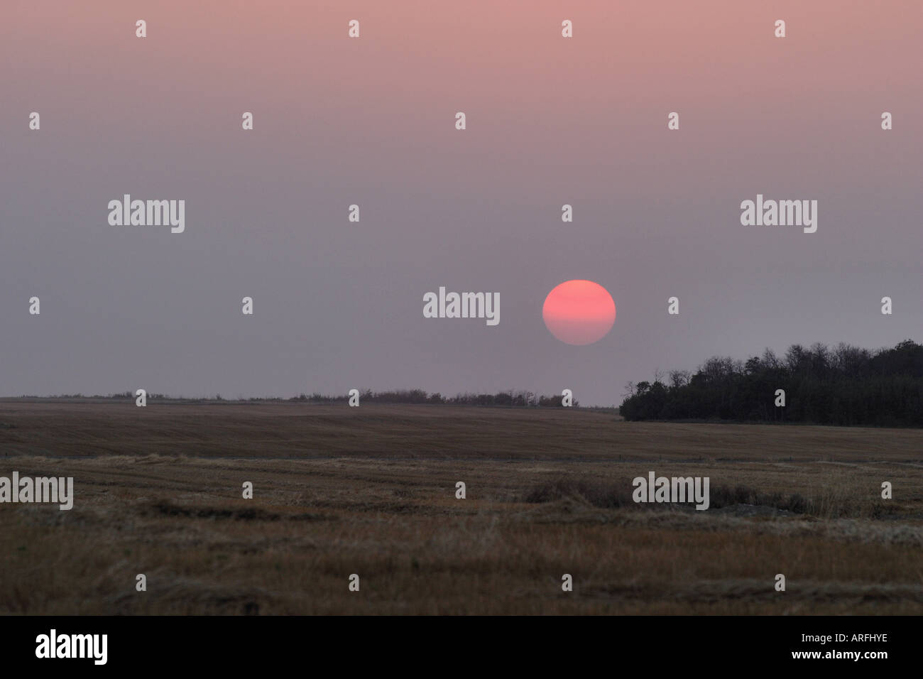 Sunset in smoke Stock Photo - Alamy