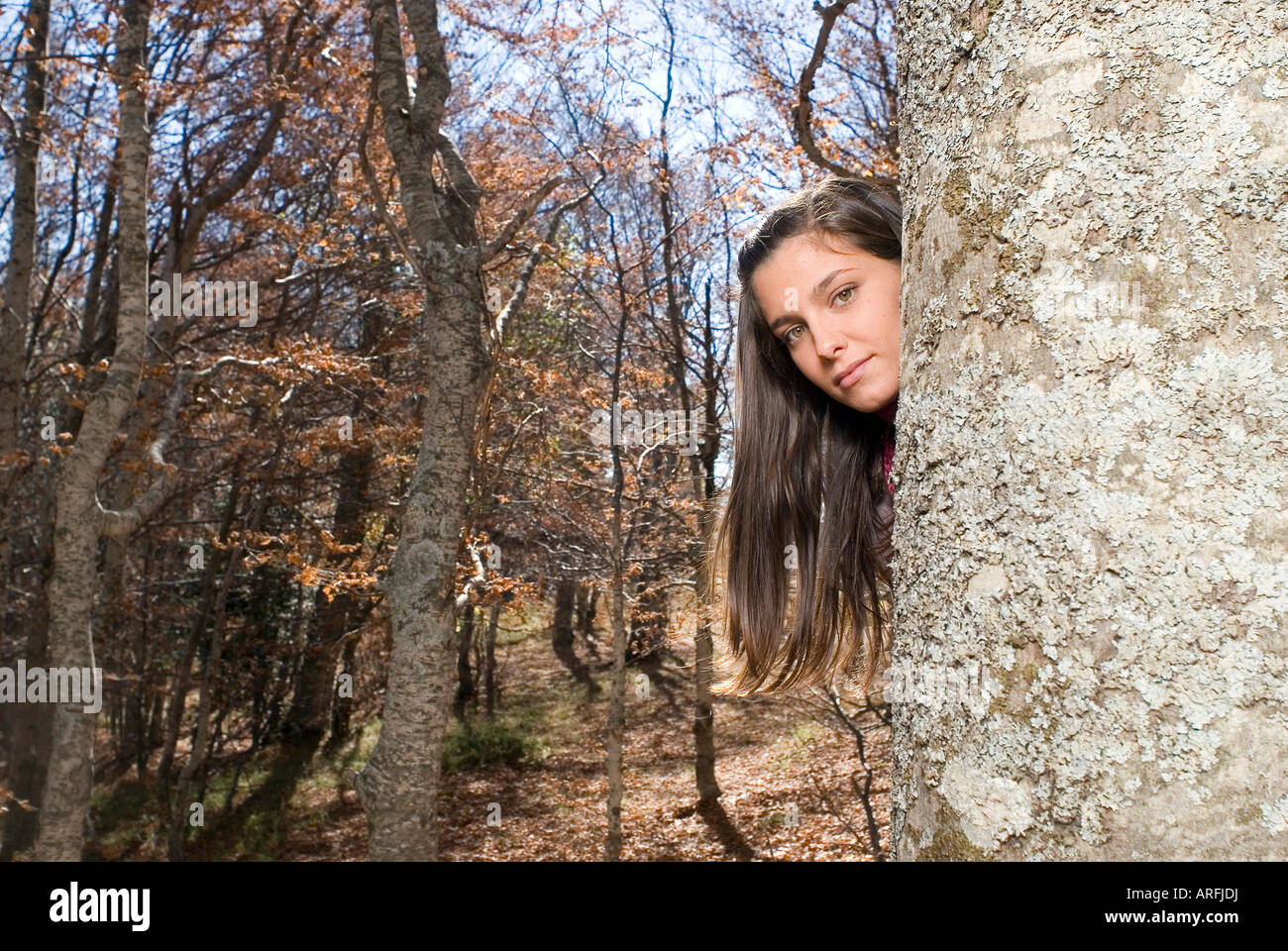 Fallen tree behind hi-res stock photography and images - Alamy
