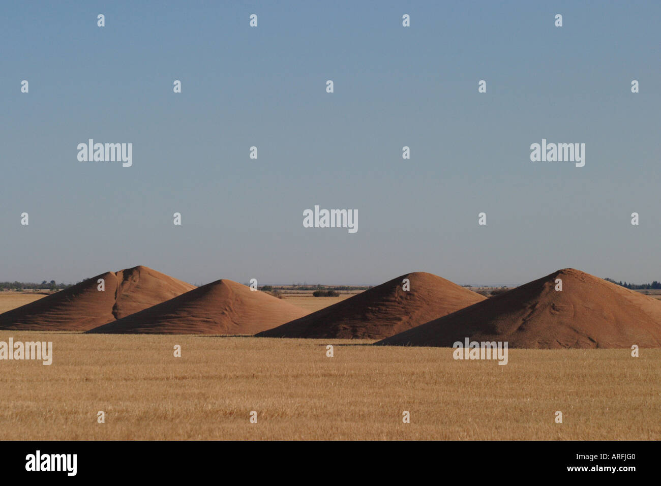 Grain piles in field Stock Photo - Alamy