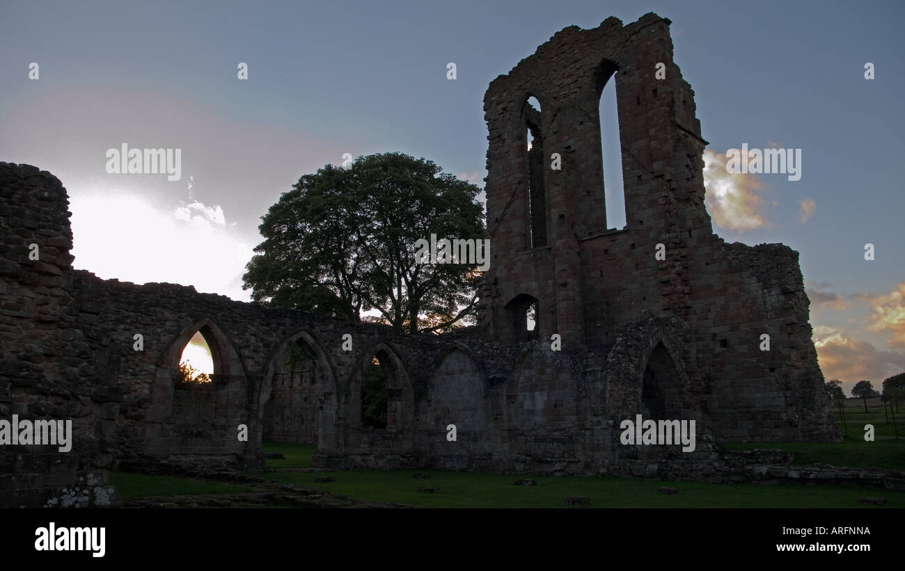Croxden Abbey High Resolution Stock Photography and Images - Alamy