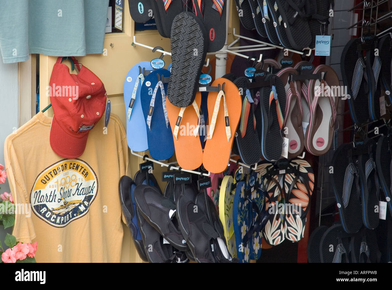 Massachusetts colony fish hi-res stock photography and images - Alamy