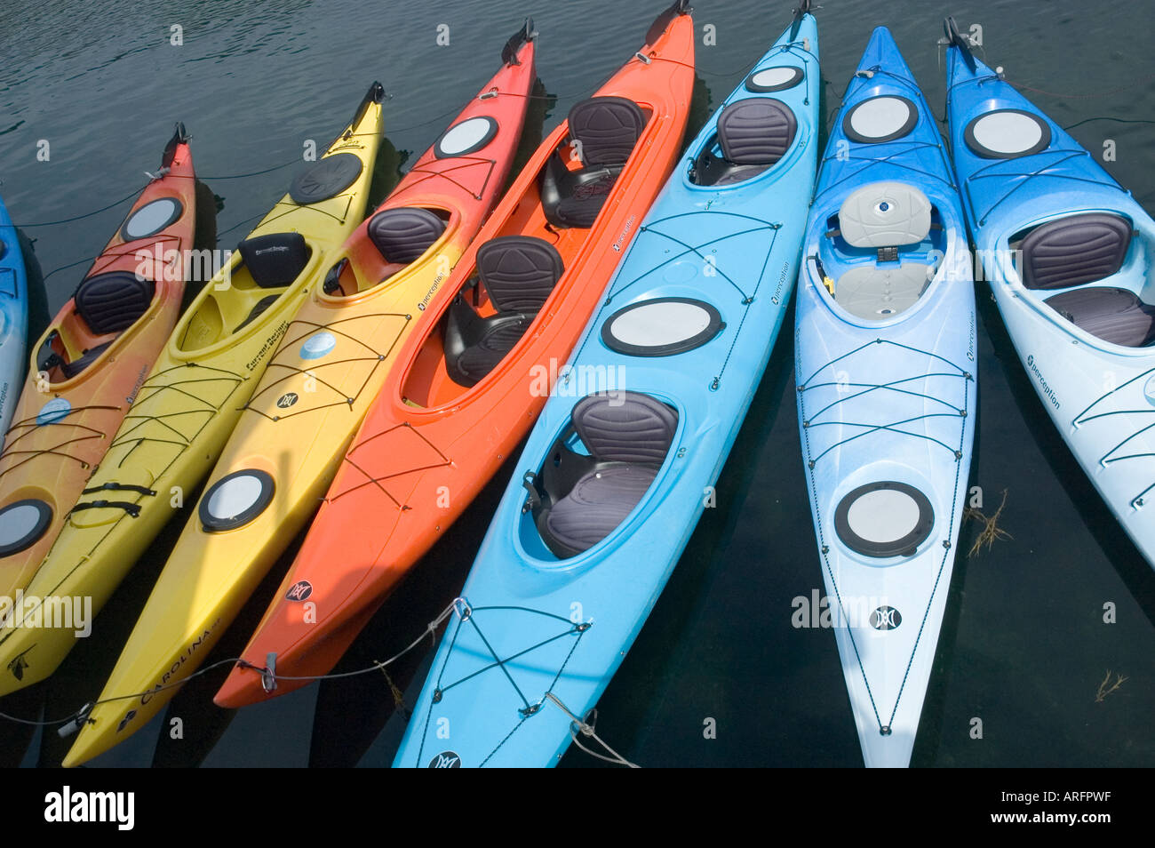 Massachusetts colony fish hi-res stock photography and images - Alamy