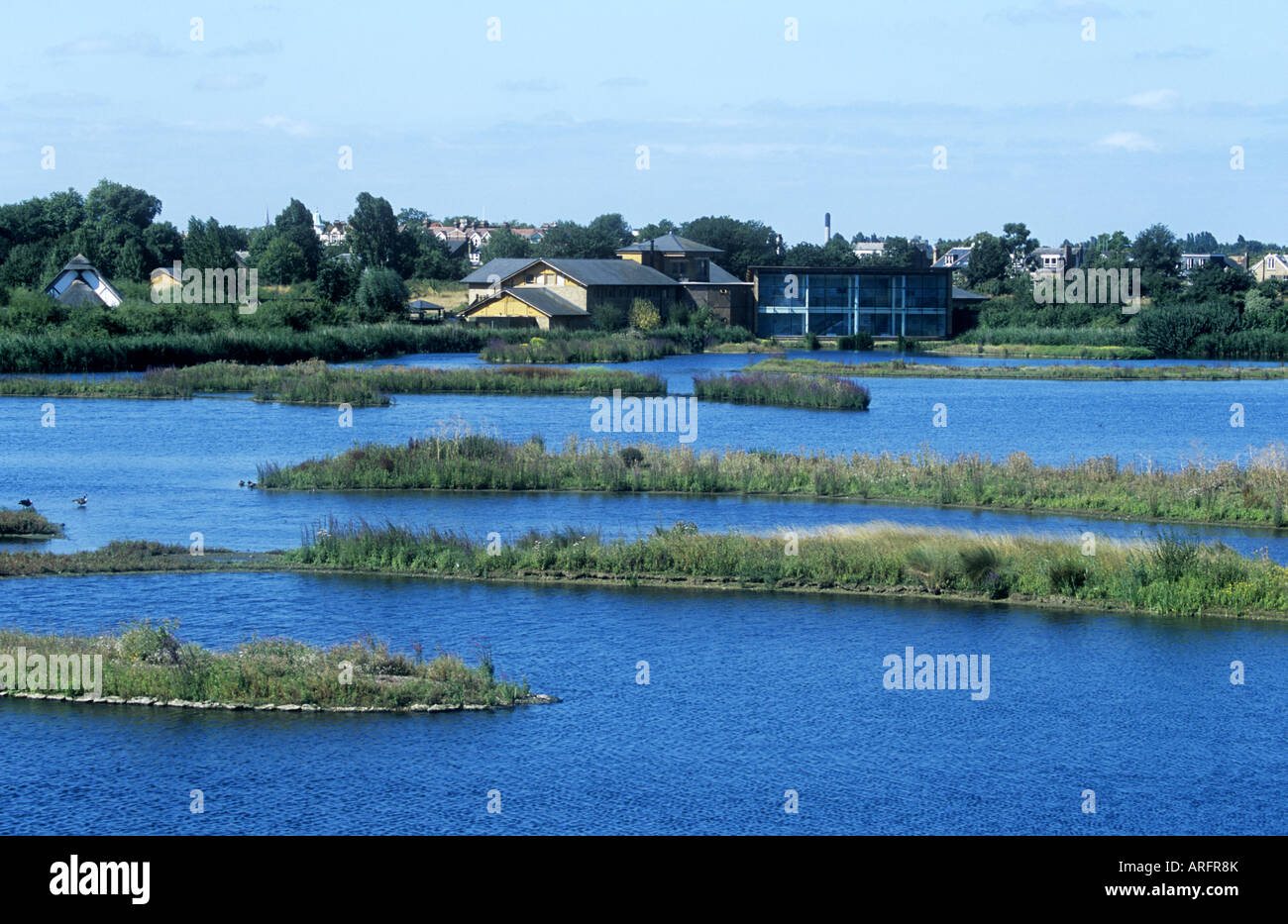 At the london wetland centre hi-res stock photography and images - Alamy