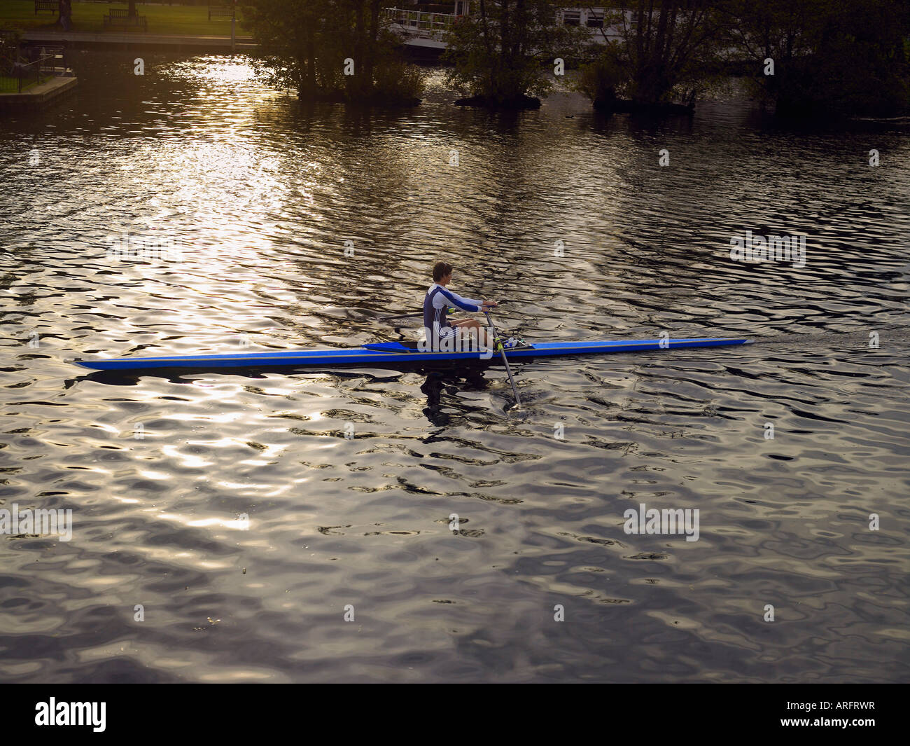 Skuller in training Stock Photo - Alamy