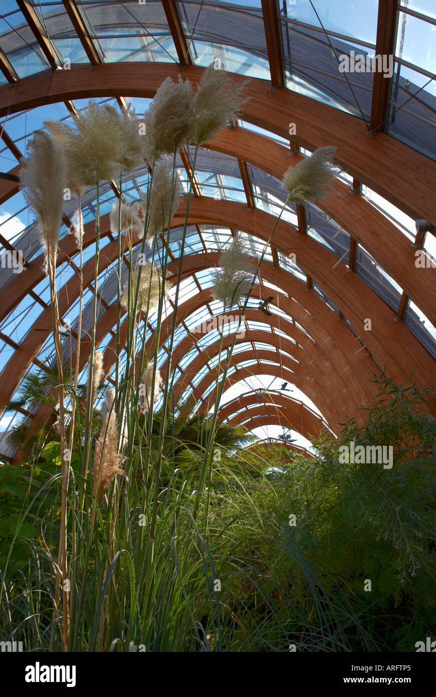 Arboretum glass roof glazing hi-res stock photography and images - Alamy
