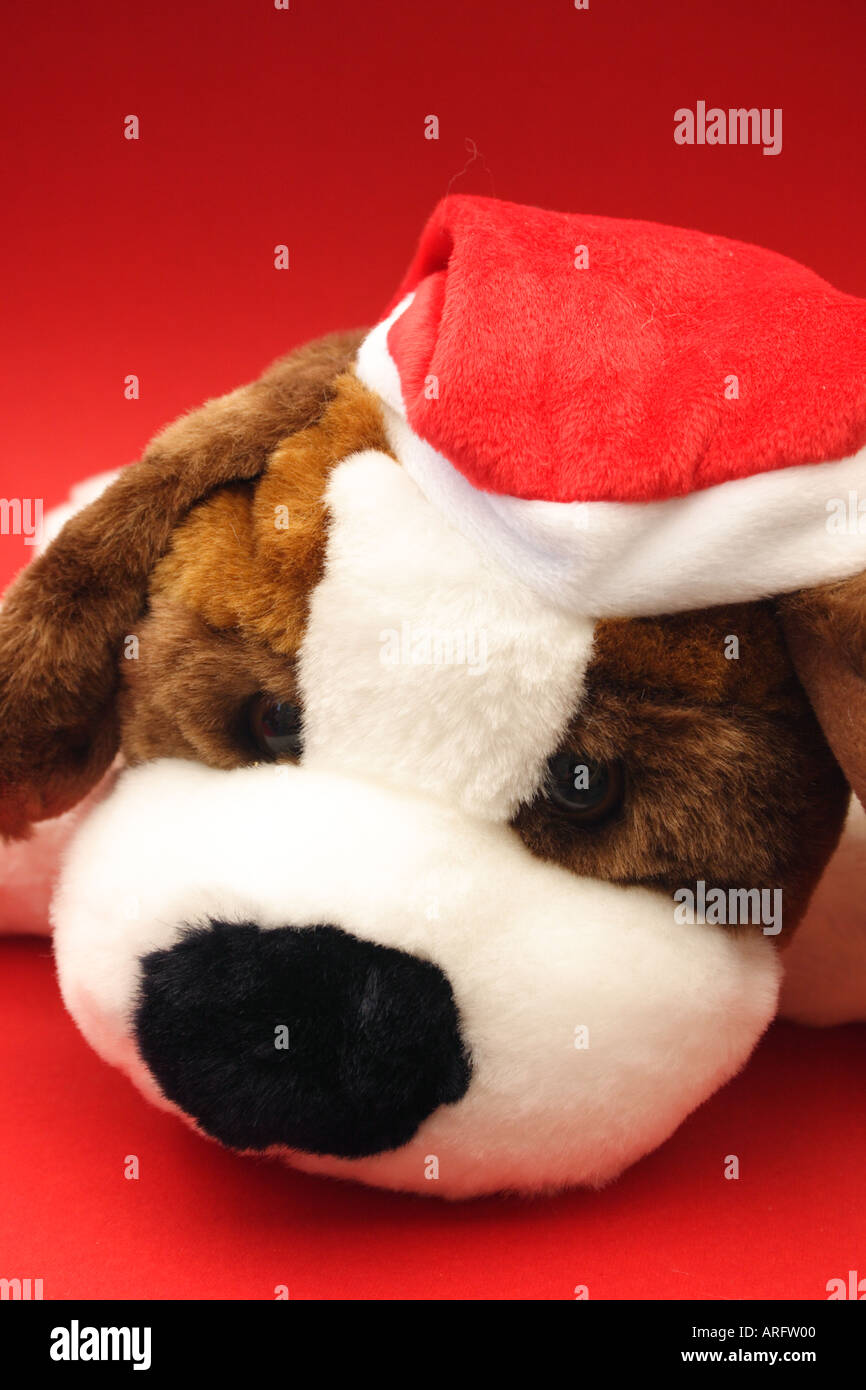 CHRISTMAS PUPPY DOG Stock Photo - Alamy