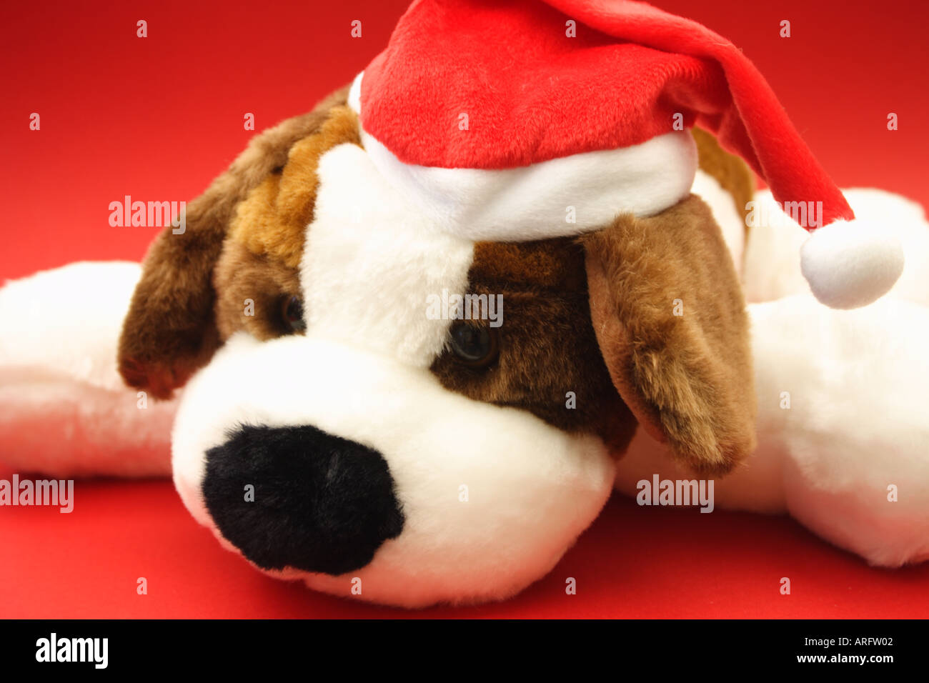 CHRISTMAS PUPPY DOG Stock Photo - Alamy