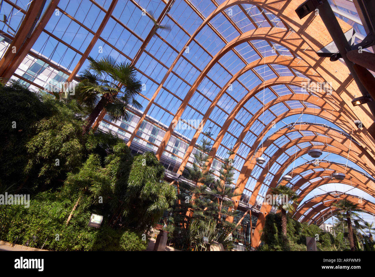 Glass Arboretum New York Botanical Garden | Things To Do In NYC | New