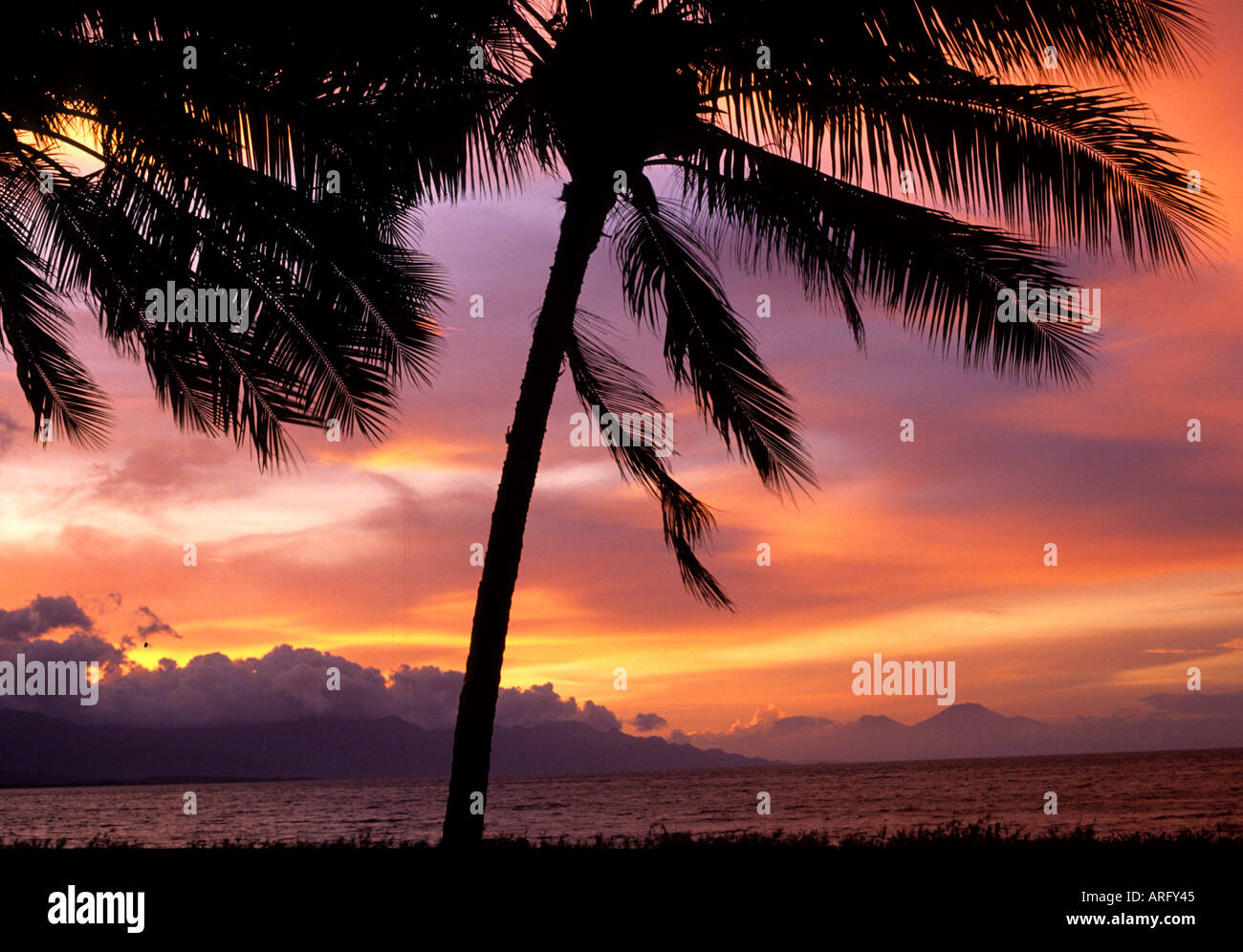 Indonesia Bali Sunset Palm tree Bali beach coast Stock Photo - Alamy