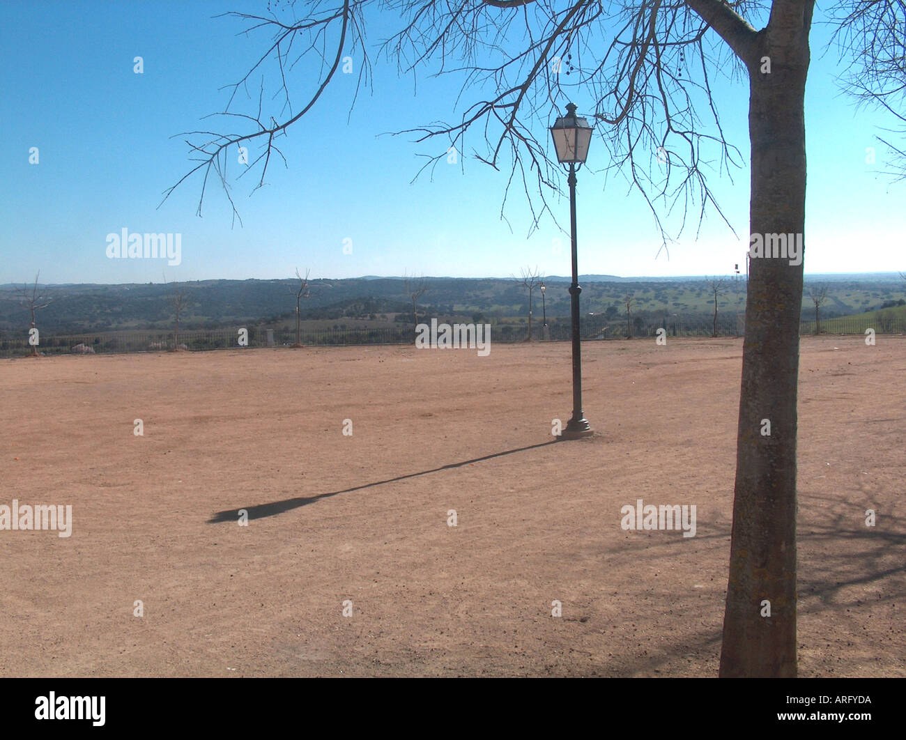 Lamp shadow and Tree Stock Photo - Alamy