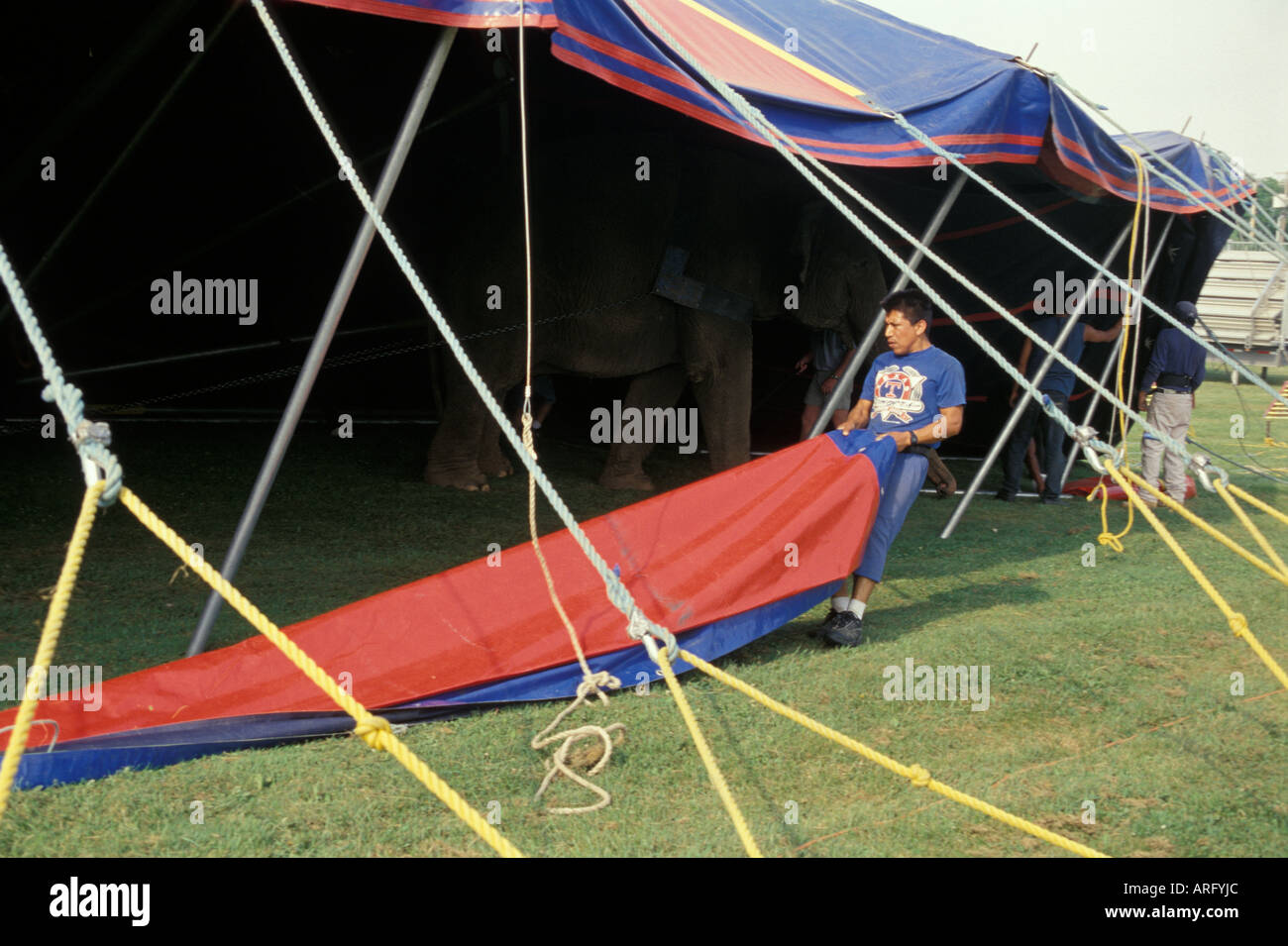 Kelly Miller Circus USA America American roustabout adjusting big top ...