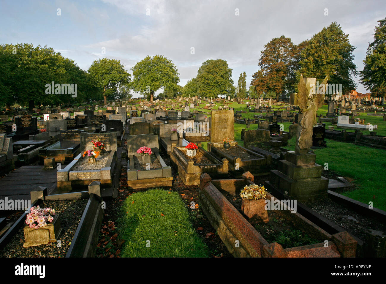 Dudley dead hi-res stock photography and images - Alamy