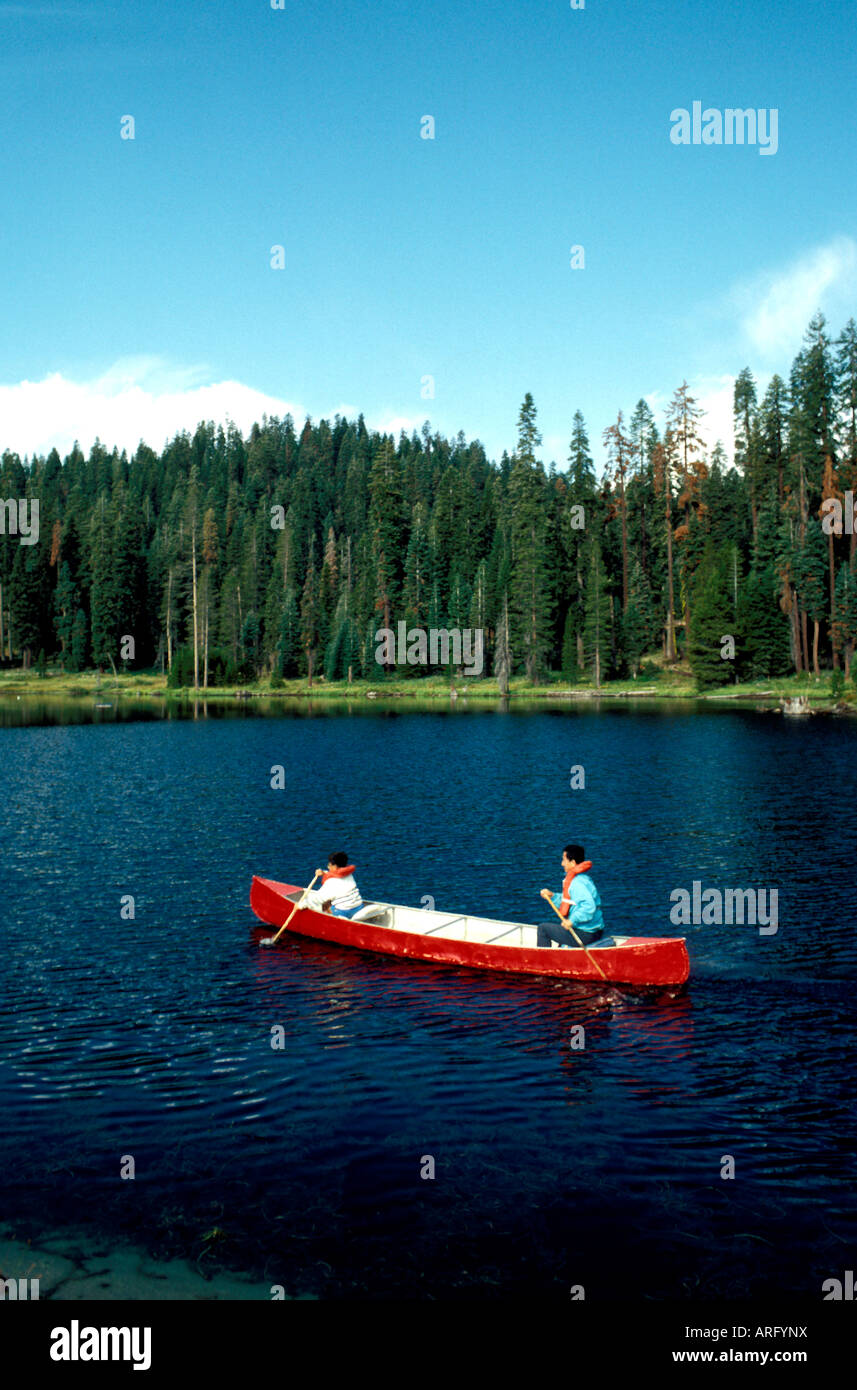 CA Sequoia Kings Canyon National Park canoe Big Trees Sequoiadendron ...