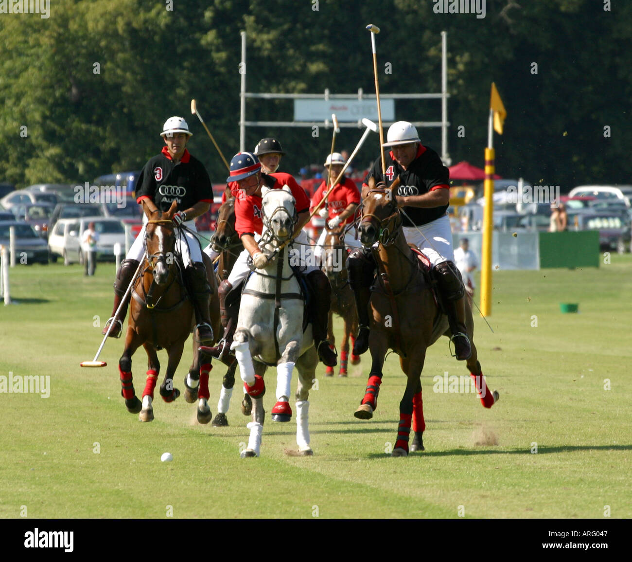 Cowdray park prince charles hi-res stock photography and images - Alamy