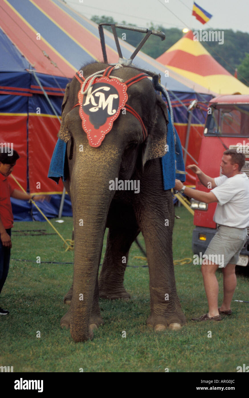 Kelly Miller Circus USA America American handler elephant Stock Photo ...